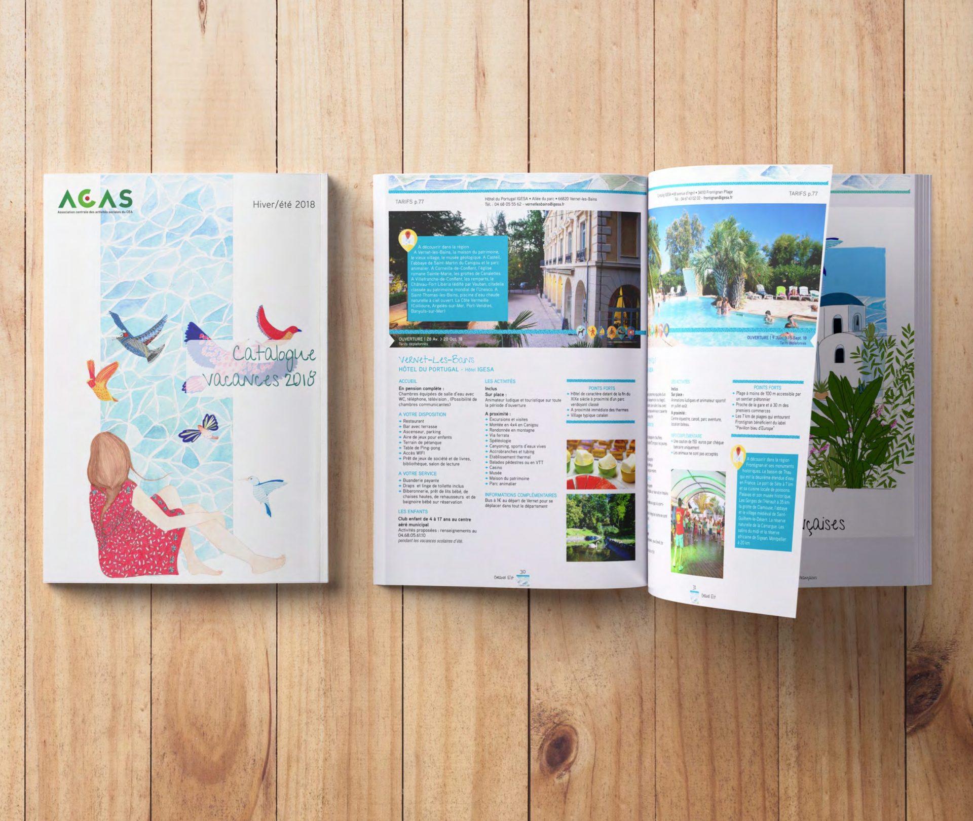 Catalogues interactifs - ACAS du CEA